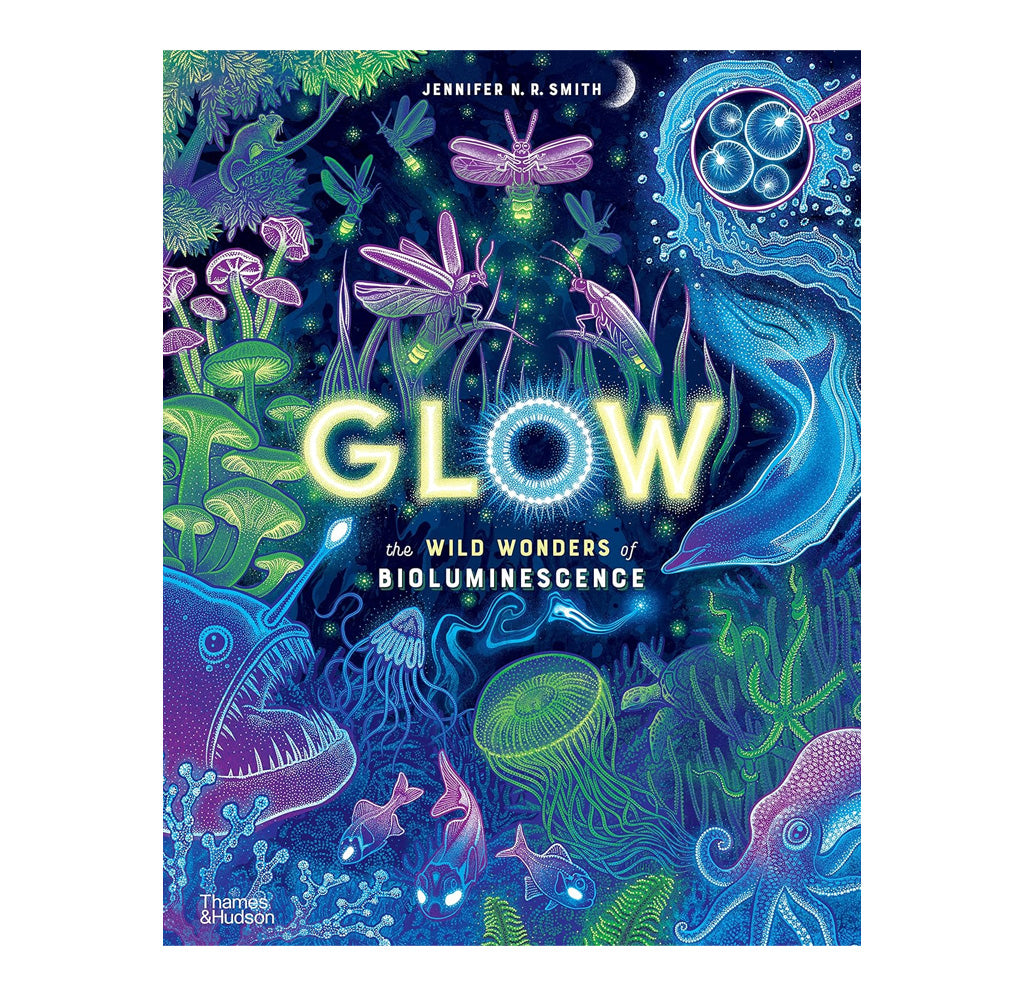 Glow: The Wild Wonders of Bioluminescence – Exploratorium