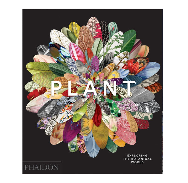 Plant: Exploring the Botanical World – Exploratorium