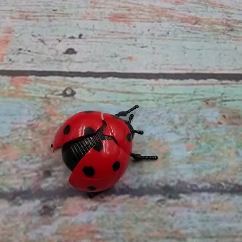 Clockwork Wind-Up Ladybug – Exploratorium