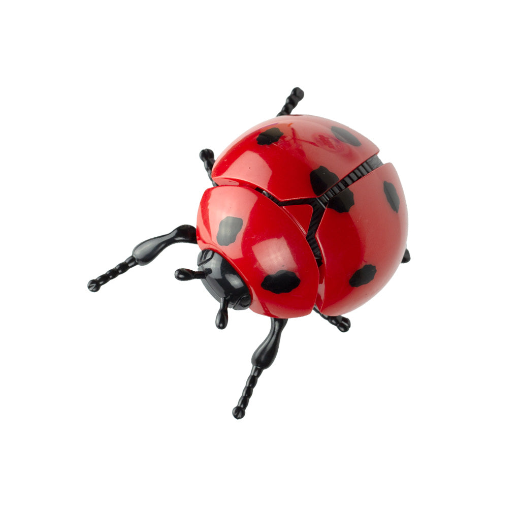 Clockwork Wind-Up Ladybug – Exploratorium