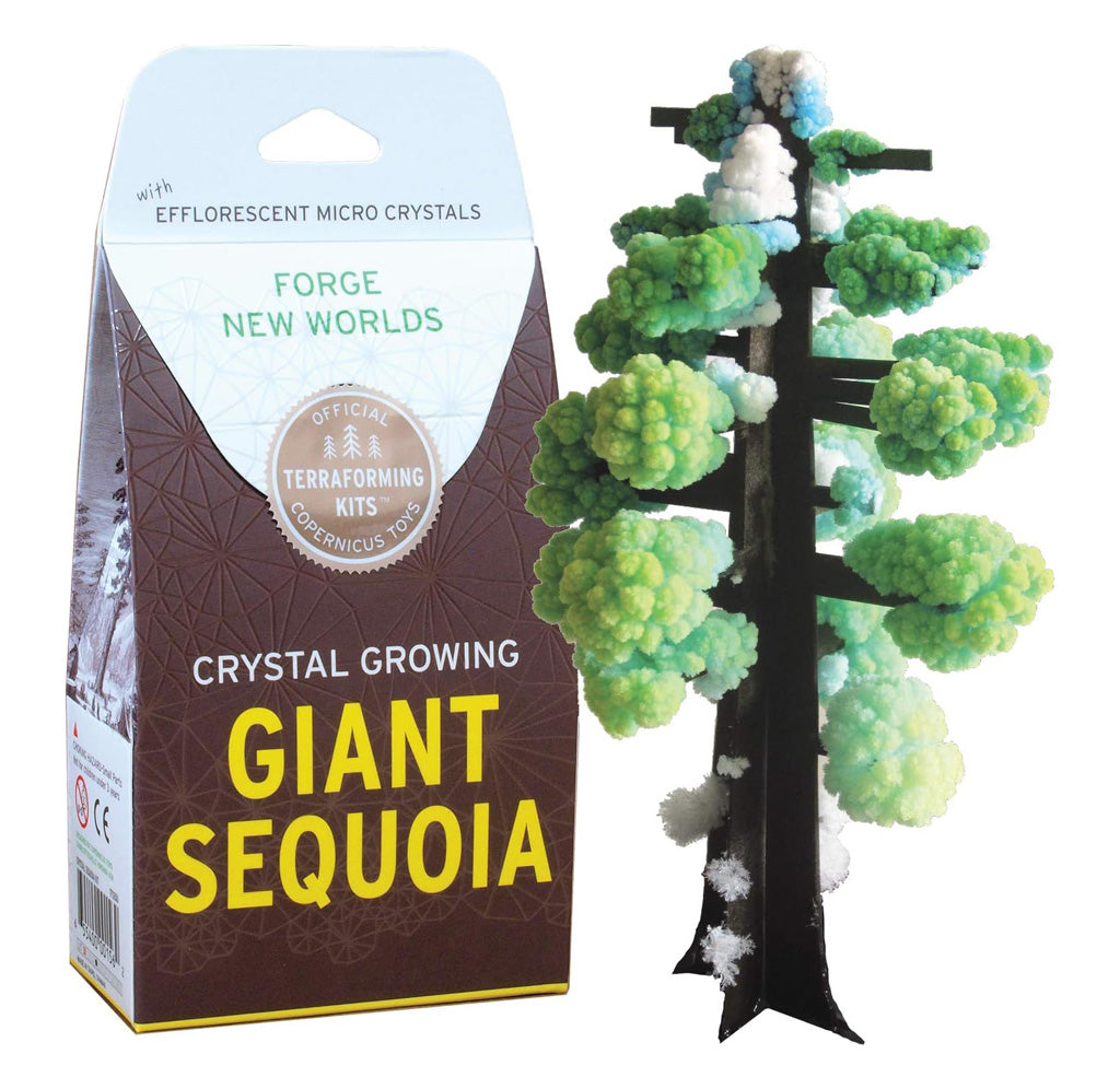 Giant Sequoia Crystal Growing Kit – Exploratorium