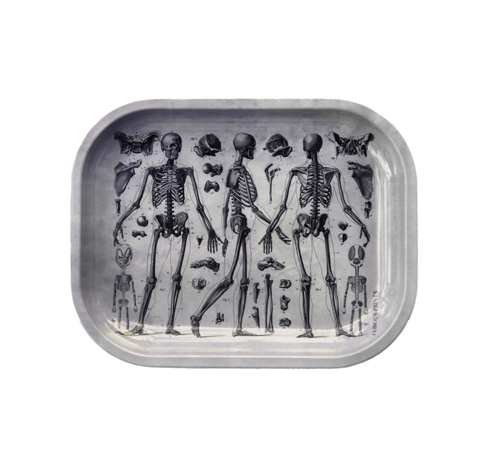 Anatomical Skeleton Metal Tray – Exploratorium