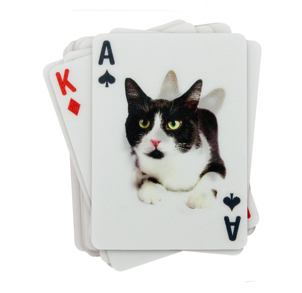 Cats Playing Cards
