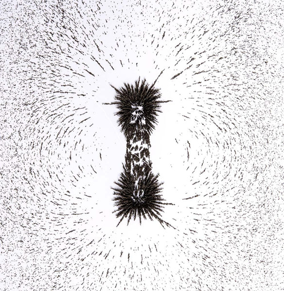 Cow Magnet – Exploratorium