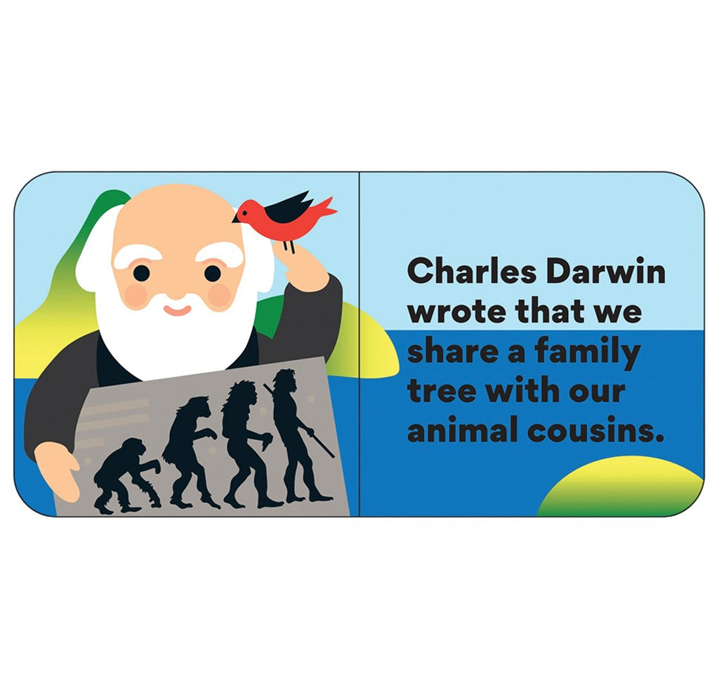 Little Scientists Board Book Set by Emily Kleinman, Illustrated by Lyd ...